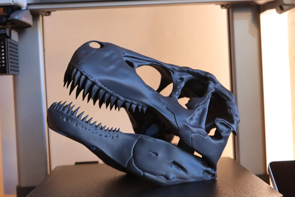 Realistic T rex Skull - Articulated Jaw - Free 3D Print Model - MakerWorld