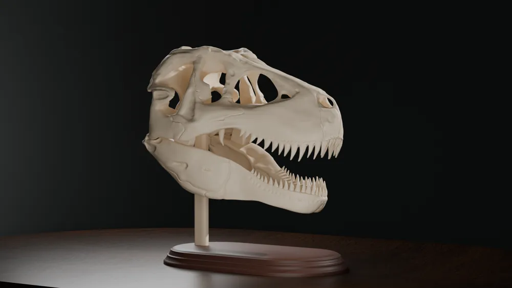 Realistic T rex Skull - Articulated Jaw - Free 3D Print Model - MakerWorld