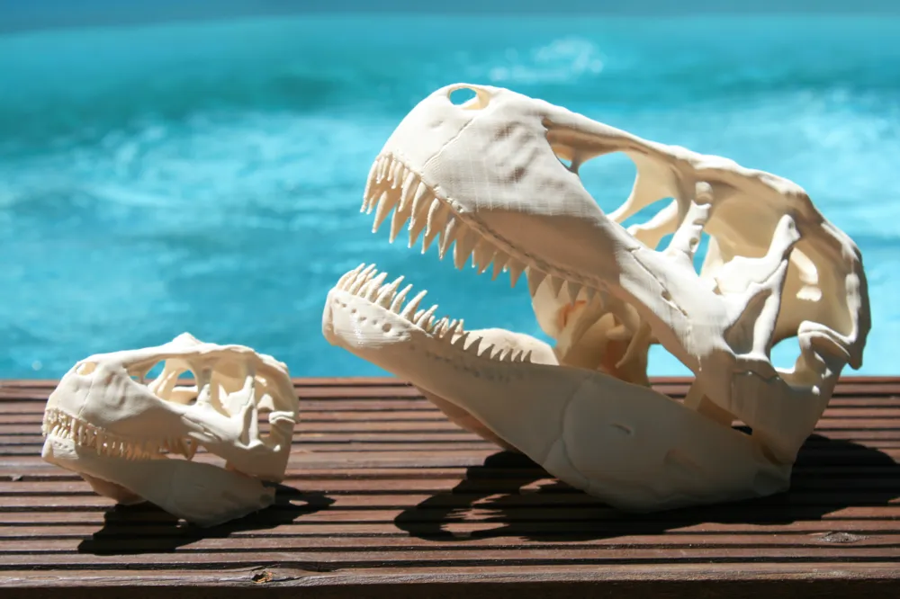 Realistic T rex Skull - Articulated Jaw - Free 3D Print Model - MakerWorld
