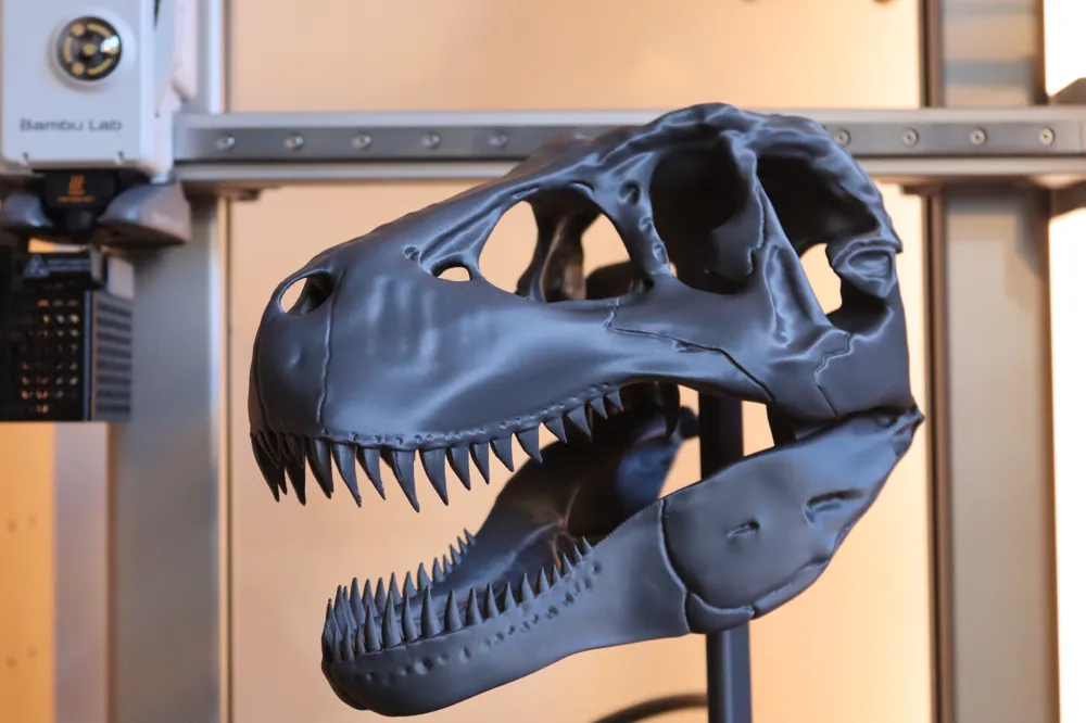 Realistic T rex Skull - Articulated Jaw - Free 3D Print Model - MakerWorld
