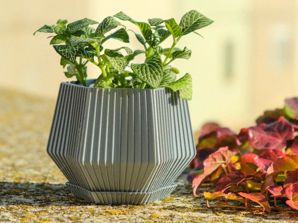 Hexagonal Pot by GrowLight - MakerWorld