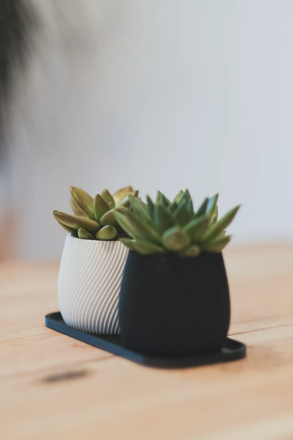 Vasos Modernos por KL Worx MakerWorld: Baixe modelos 3D gratuitos