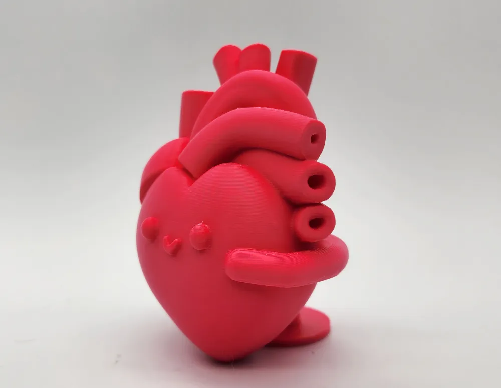 Anatomical Happy Heart by Triple G Workshop - MakerWorld