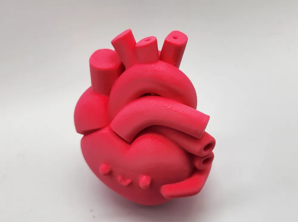 Anatomical Happy Heart by Triple G Workshop - MakerWorld