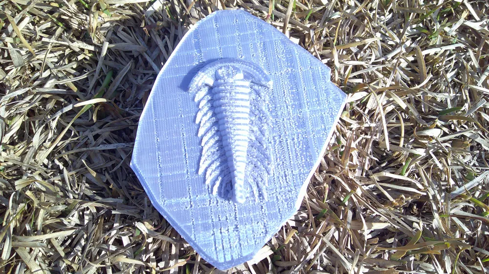 Trilobite Fossil by *3D Print Wizard* MakerWorld: Download Free 3D Models