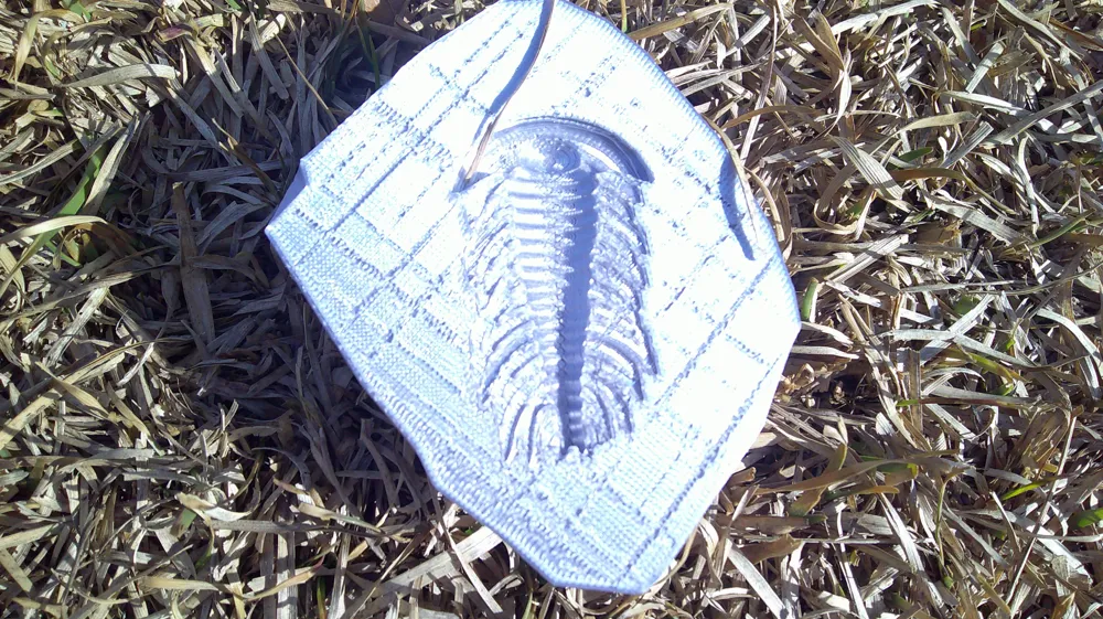 Trilobite Fossil by *3D Print Wizard* MakerWorld: Download Free 3D Models