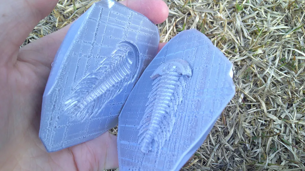 Trilobite Fossil by *3D Print Wizard* MakerWorld: Download Free 3D Models