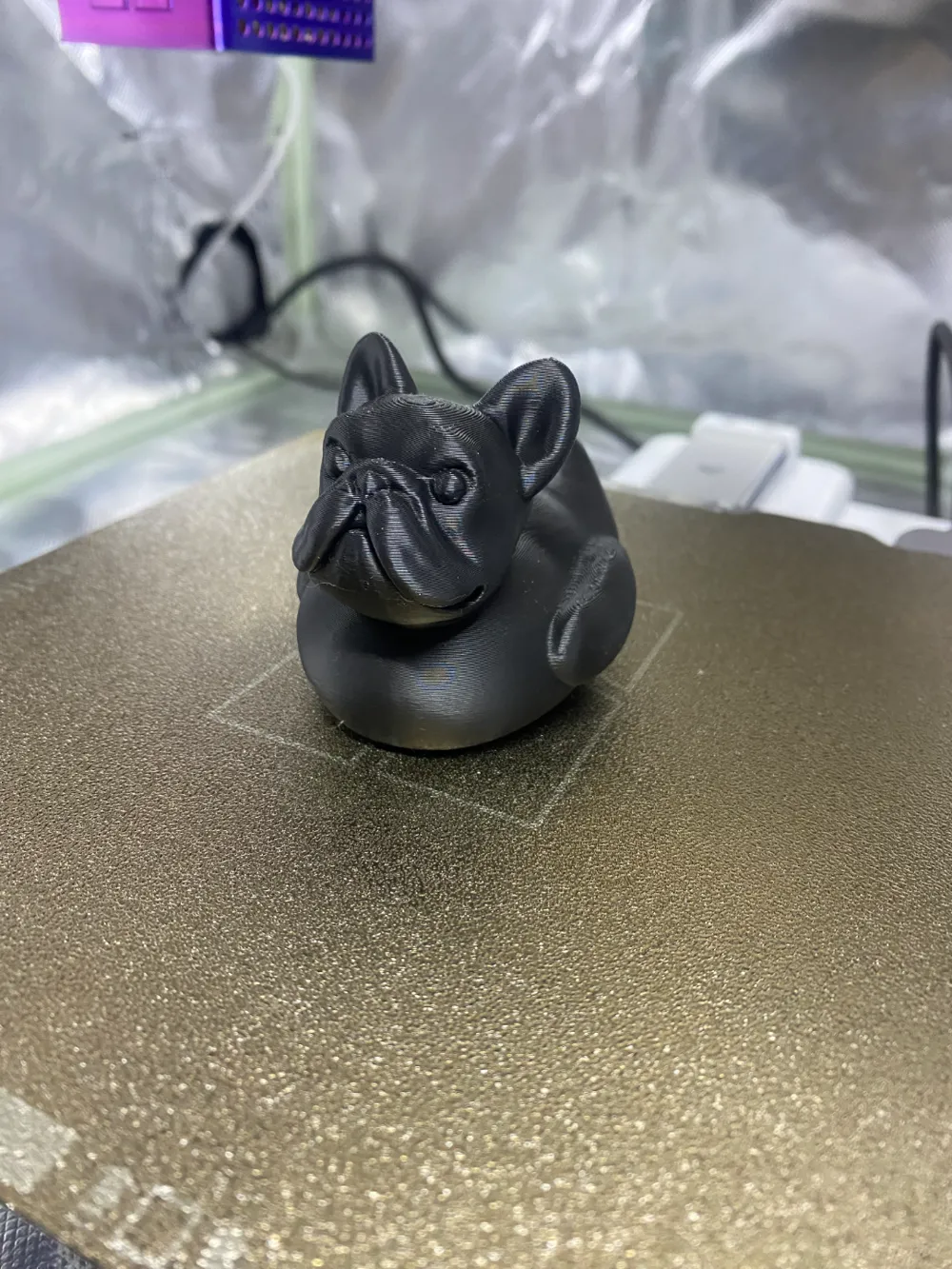 French BullDuck - Free 3D Print Model - MakerWorld