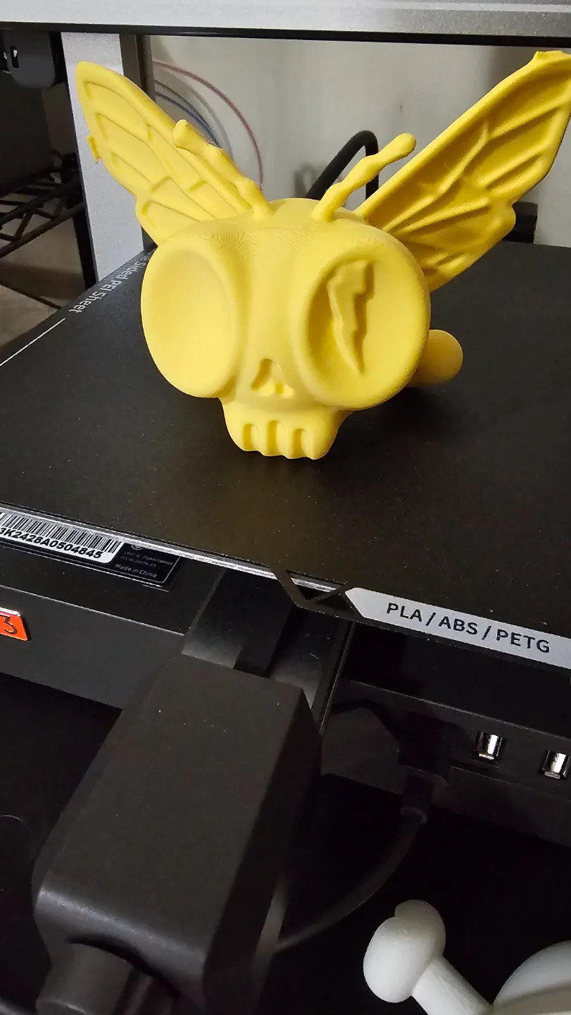 Undead Fly Skull Crossbones Sculpture by Trident - MakerWorld