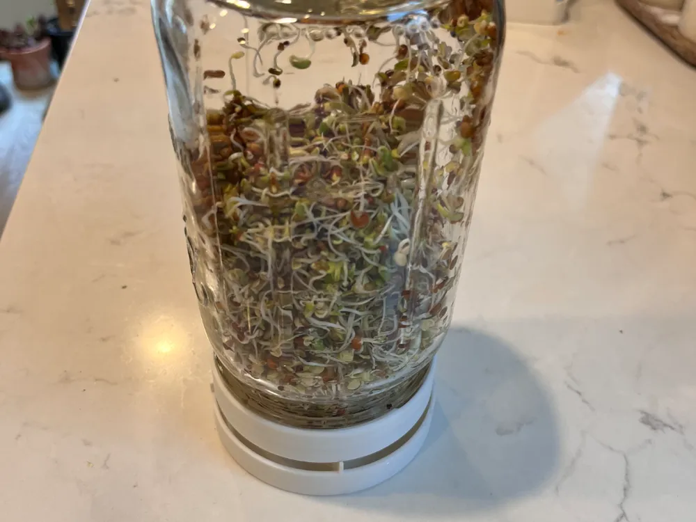 Mason Jar (Wide Mouth) Simple Sprouting Lid & Tray by eecharlie ...