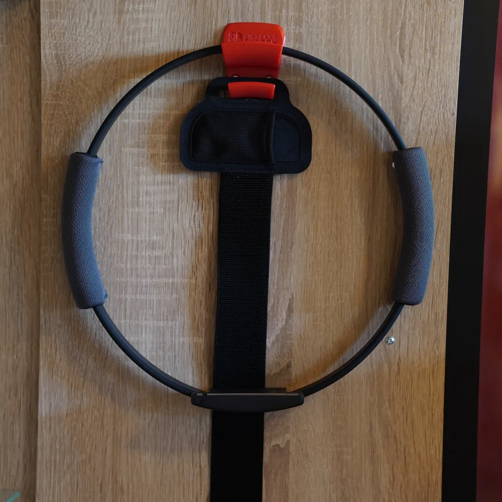 Nintendo Switch RingCON Holder for Ringfit by techam - MakerWorld