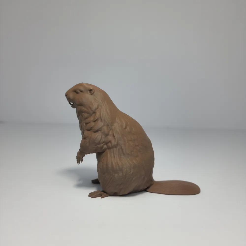 Realistic Beaver - Free 3D Print Model - MakerWorld