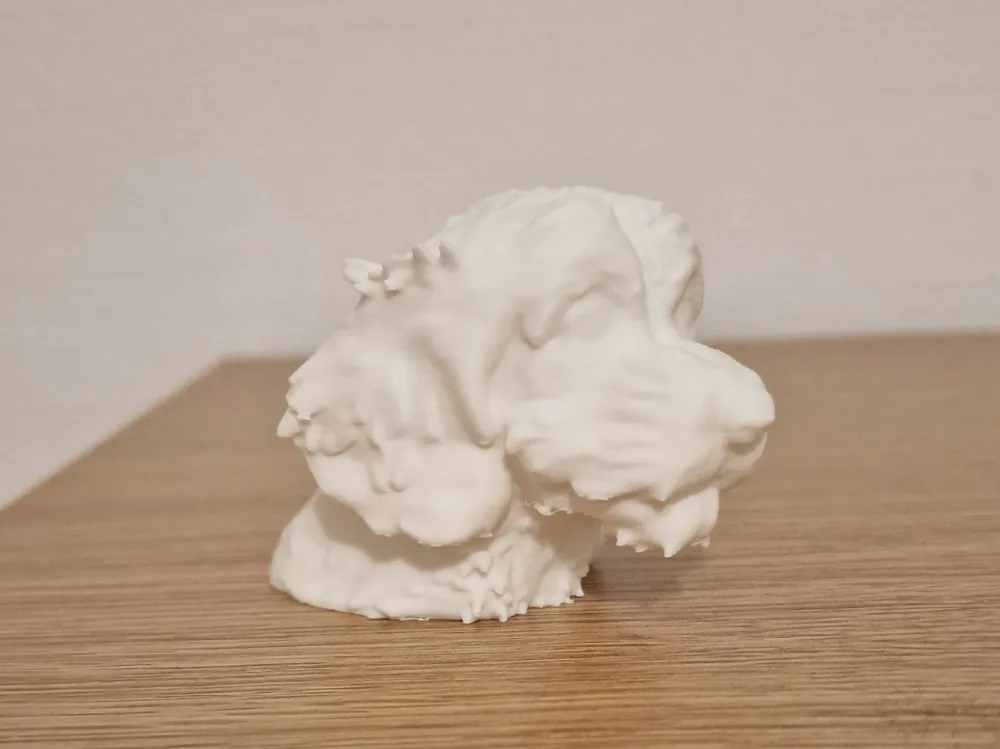 Cavapoo Pup model by jolleke - MakerWorld