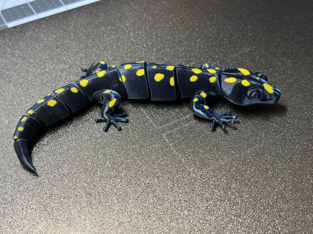Realistic Flexi Salamander (Spotted) - Free 3D Print Model - MakerWorld