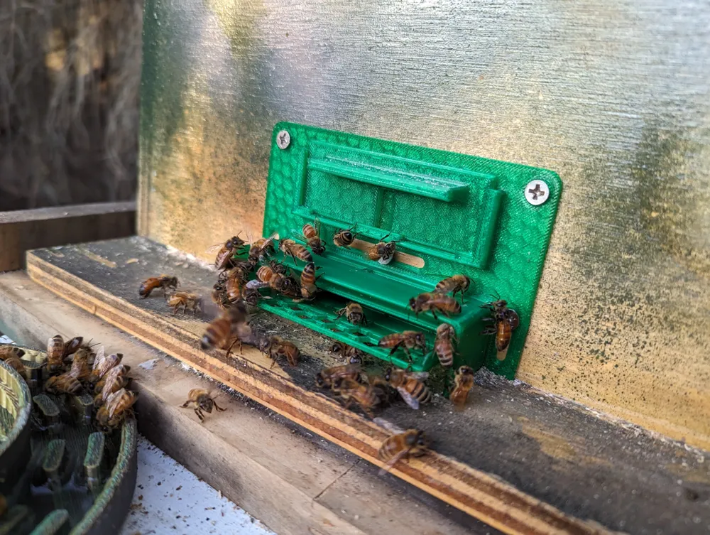 Bee Hive Entrance L and S by dworms - MakerWorld