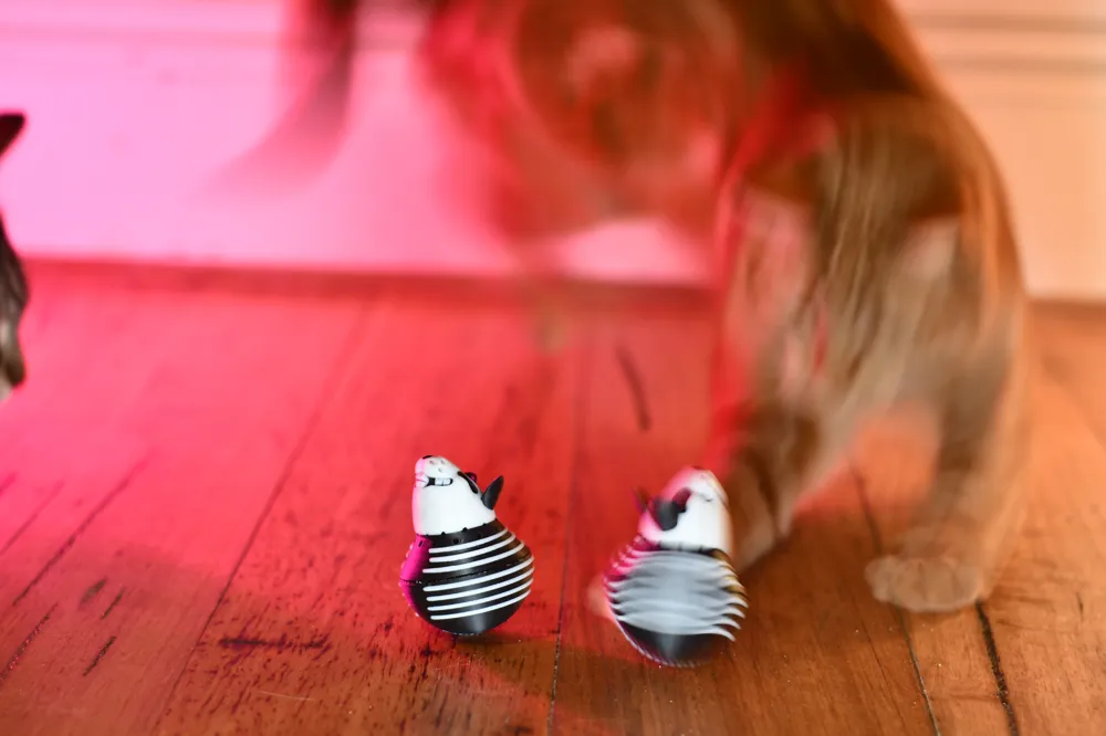 Skeleton Wobble Mouse Toy for Cats - Free 3D Print Model - MakerWorld