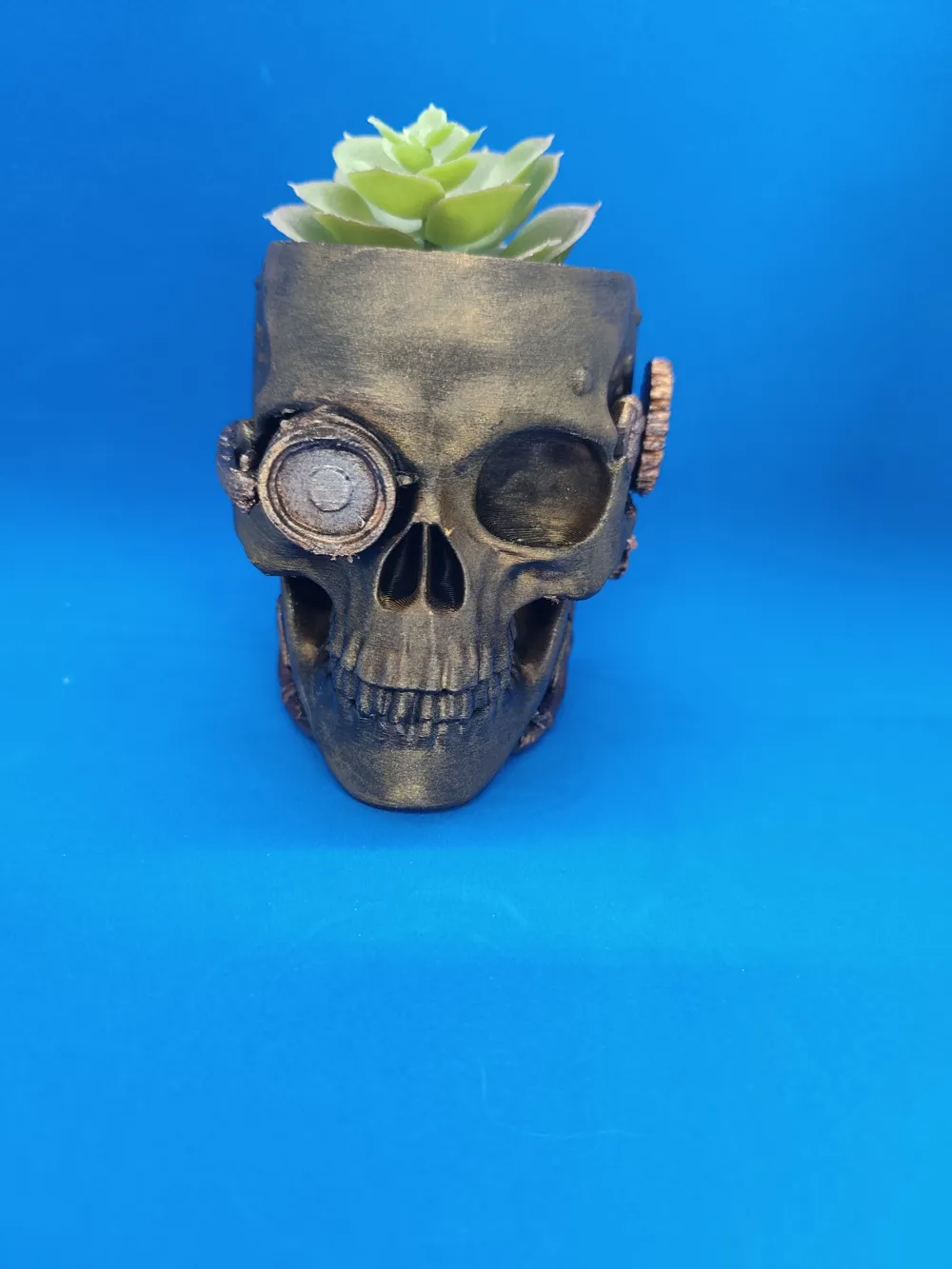 Steampunk Skull Planter by 3DPrintsForYou MakerWorld: Download Free 3D ...
