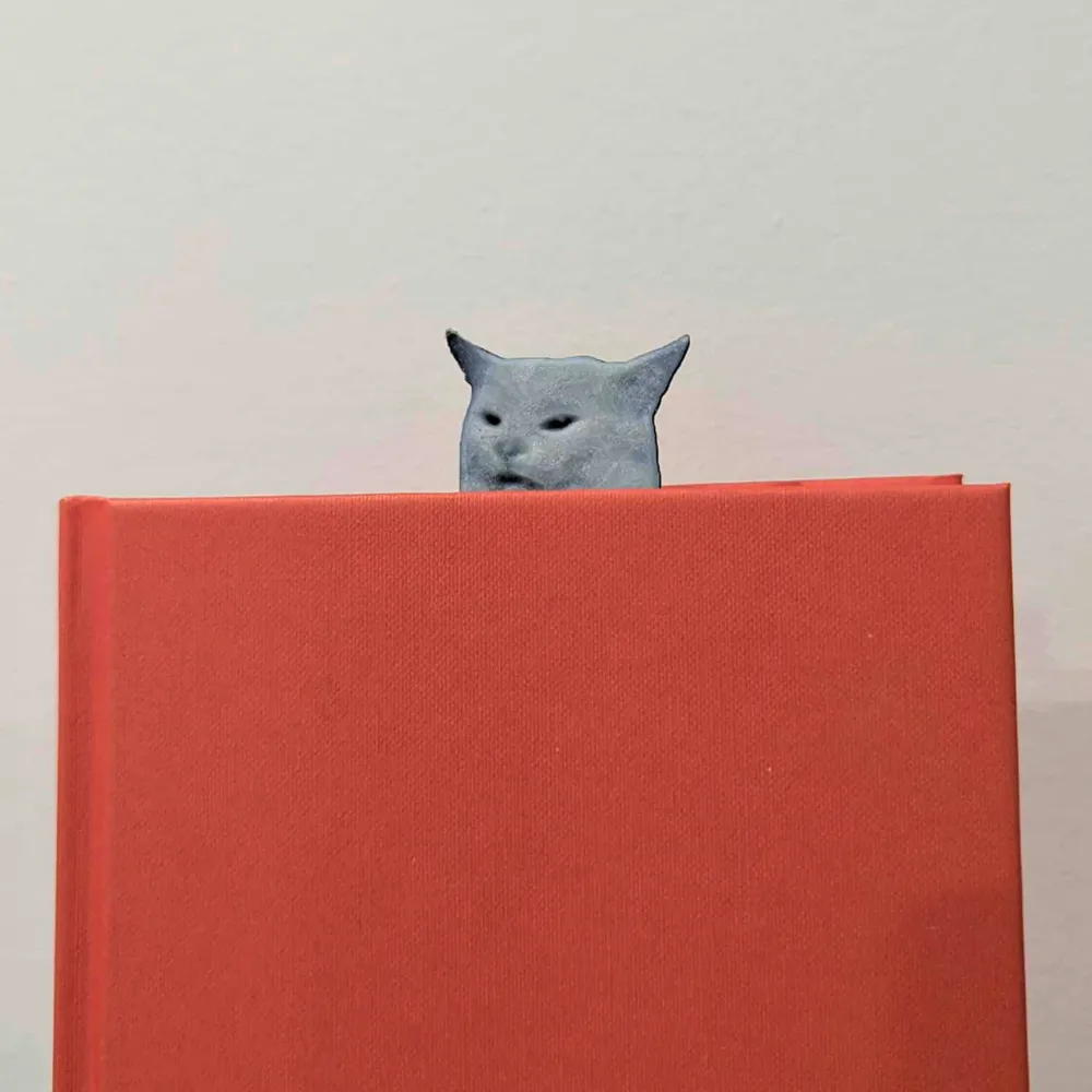 Confused Cat Meme Slip-On Bookmark - Free 3D Print Model - MakerWorld