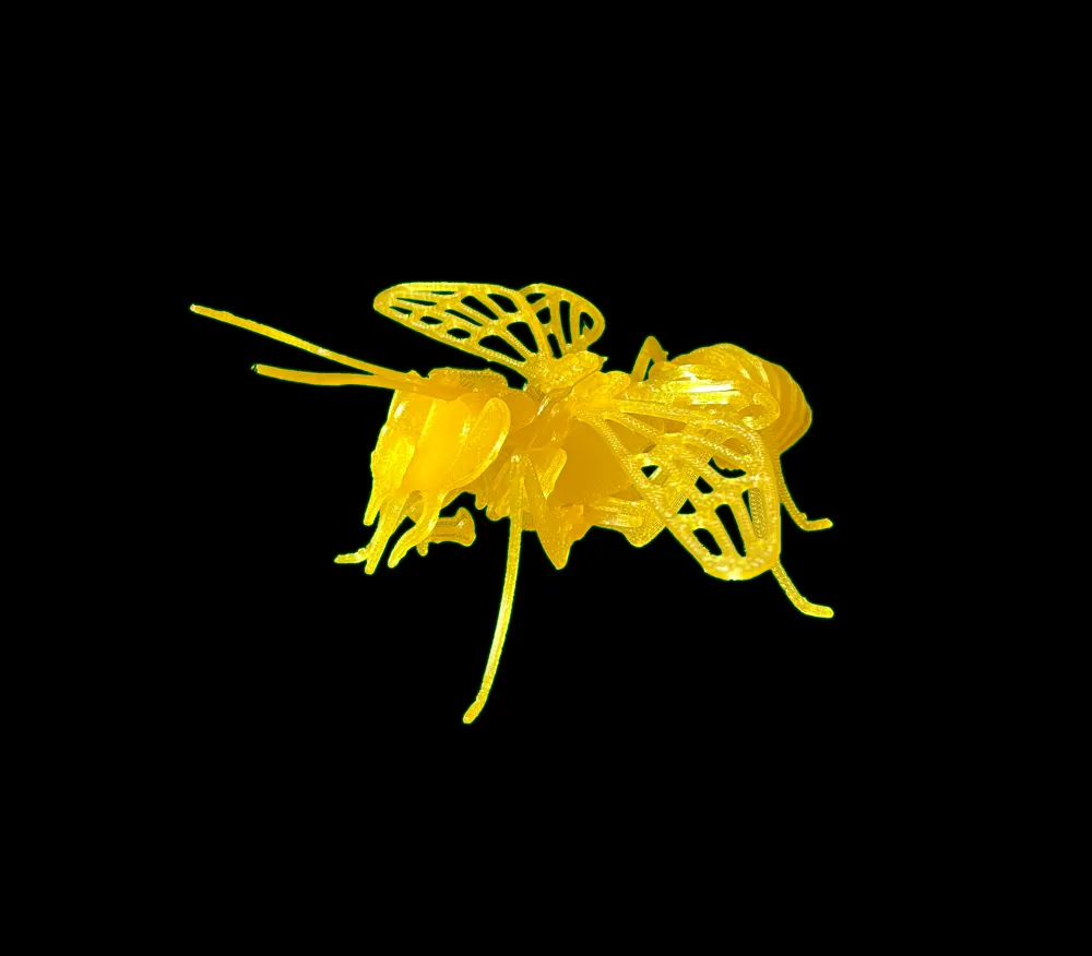 Bee Bug Kit Card - BugCards - Free 3D Print Model - MakerWorld