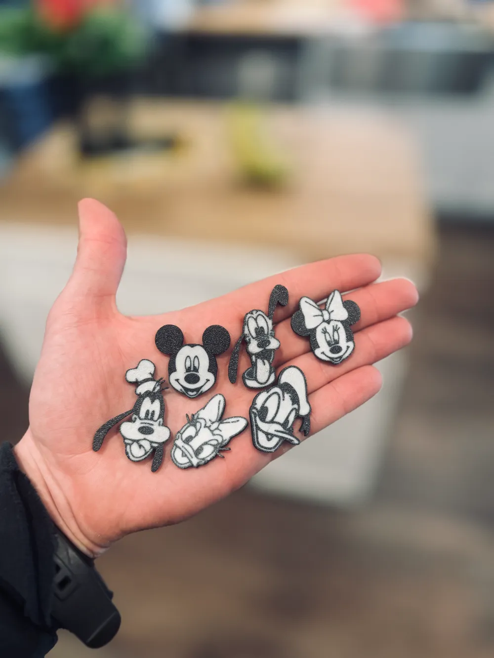 Disney Magnets by Byrd Anthony - MakerWorld
