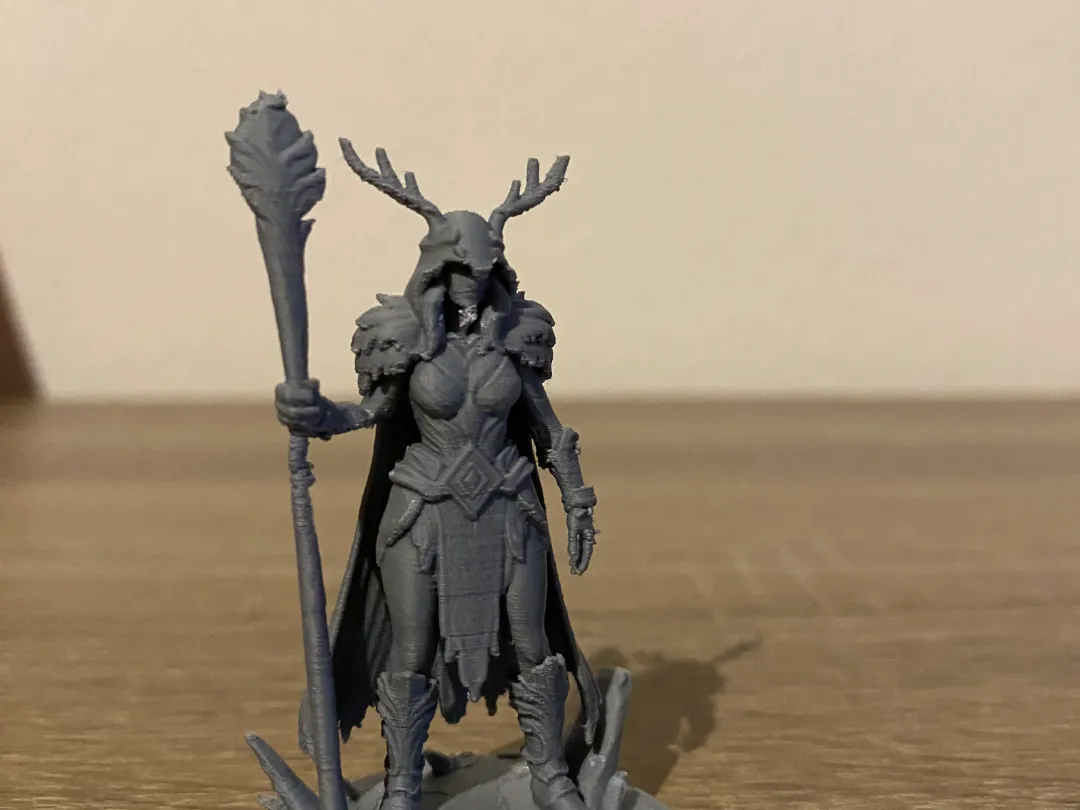 Dungeons&Dragons Wild Druid by Toms3DWelt MakerWorld: Download Free 3D ...
