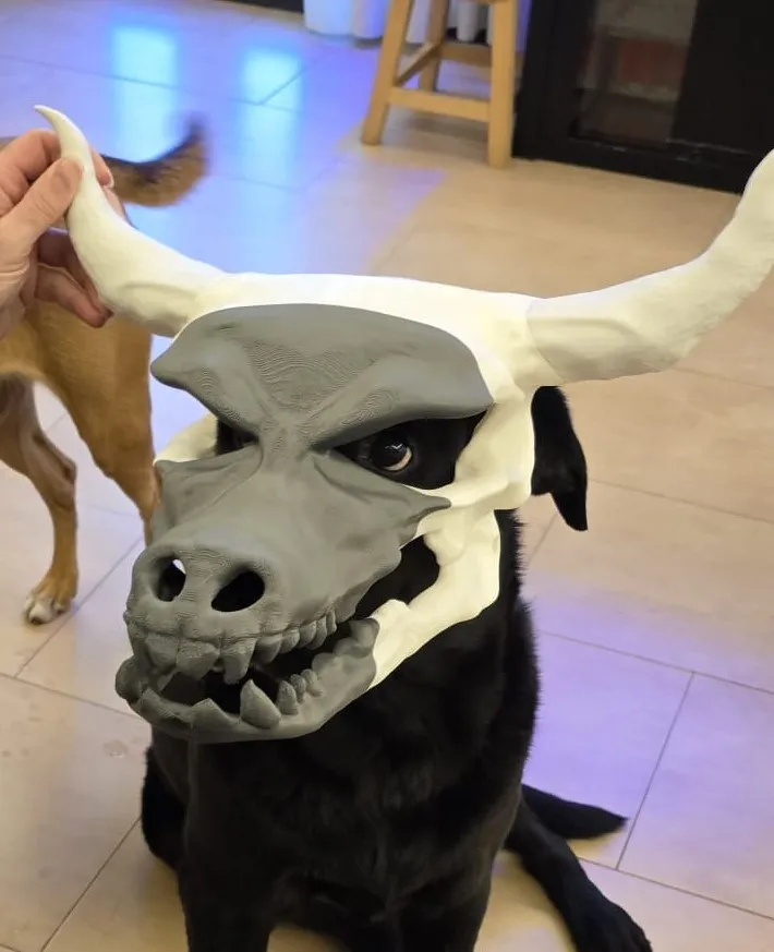 Demon dog skull mask by Fancraft Forge - MakerWorld