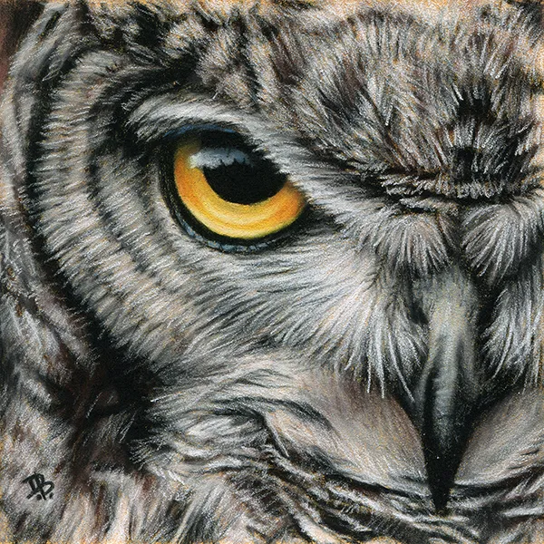 Owl-5 by Starchaser09 MakerWorld: Download Free 3D Models