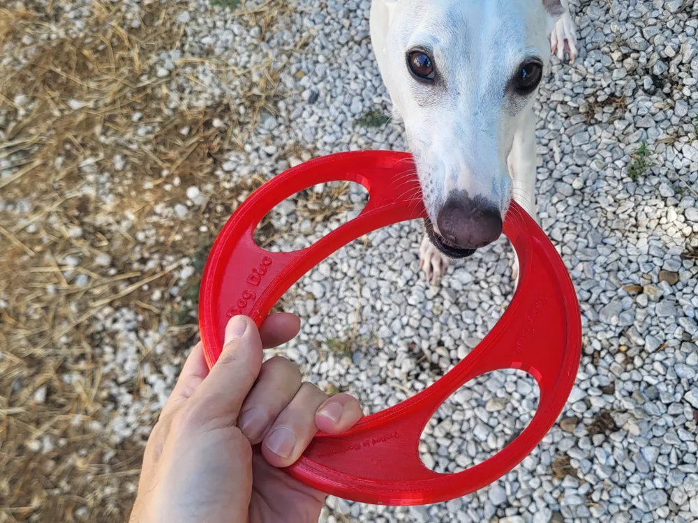 Dog Disc (Frisbee) - Free 3D Print Model - MakerWorld