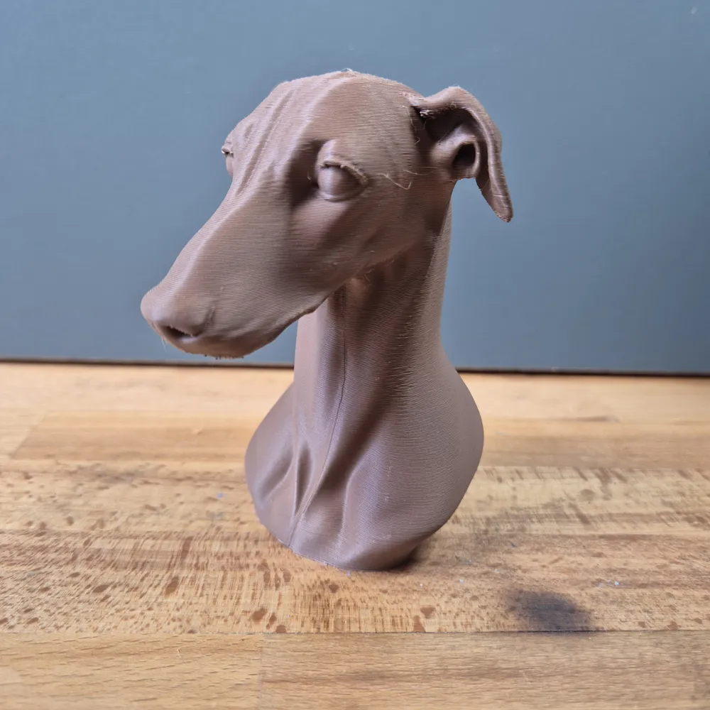 Greyhound Bust by Mr.Jay MakerWorld: Download Free 3D Models