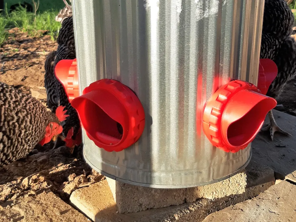 Chicken/ duck feeder - Free 3D Print Model - MakerWorld