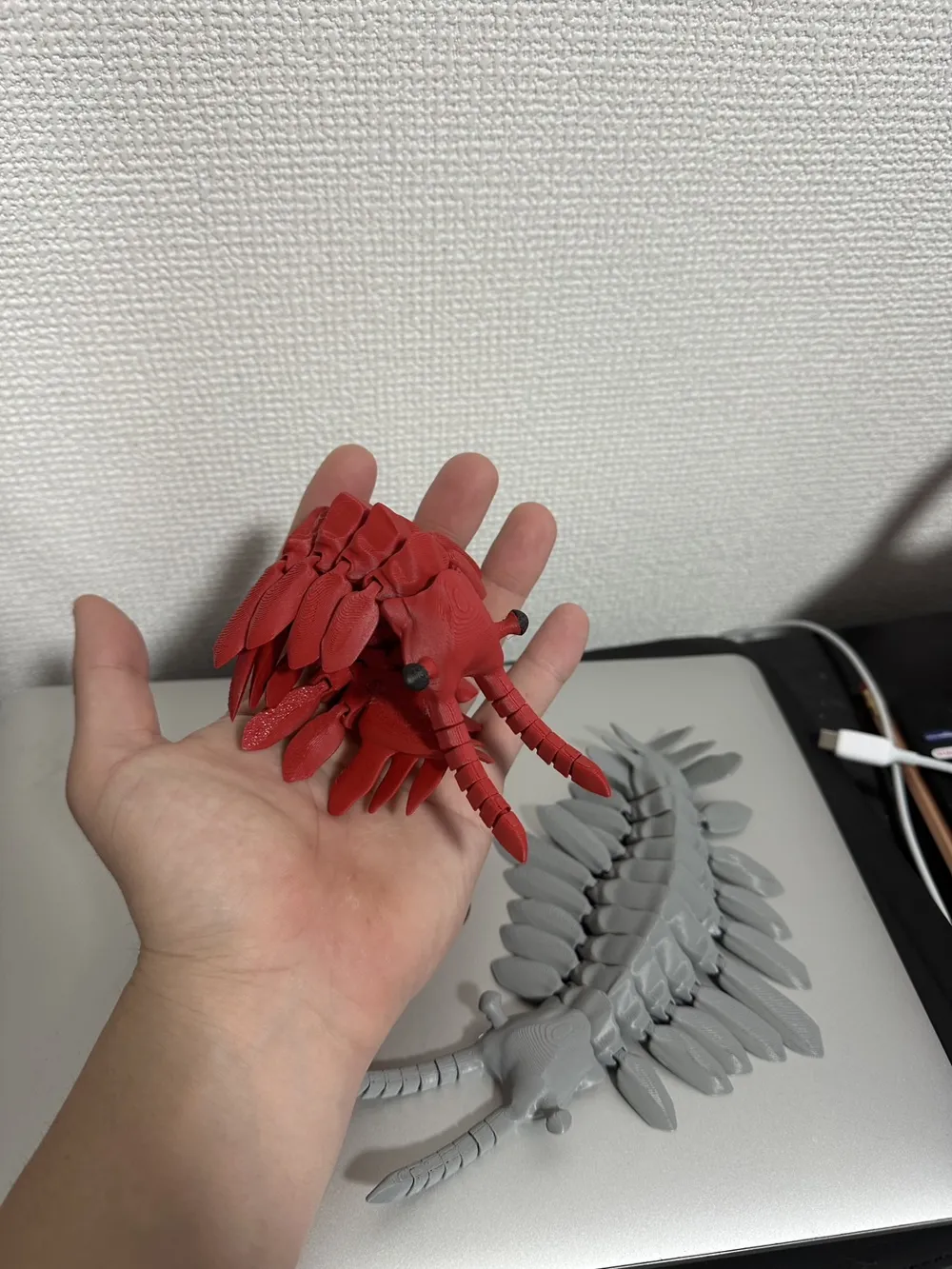 Anomalocaris Prehistoric life by Exotic_Cat MakerWorld: Download Free ...