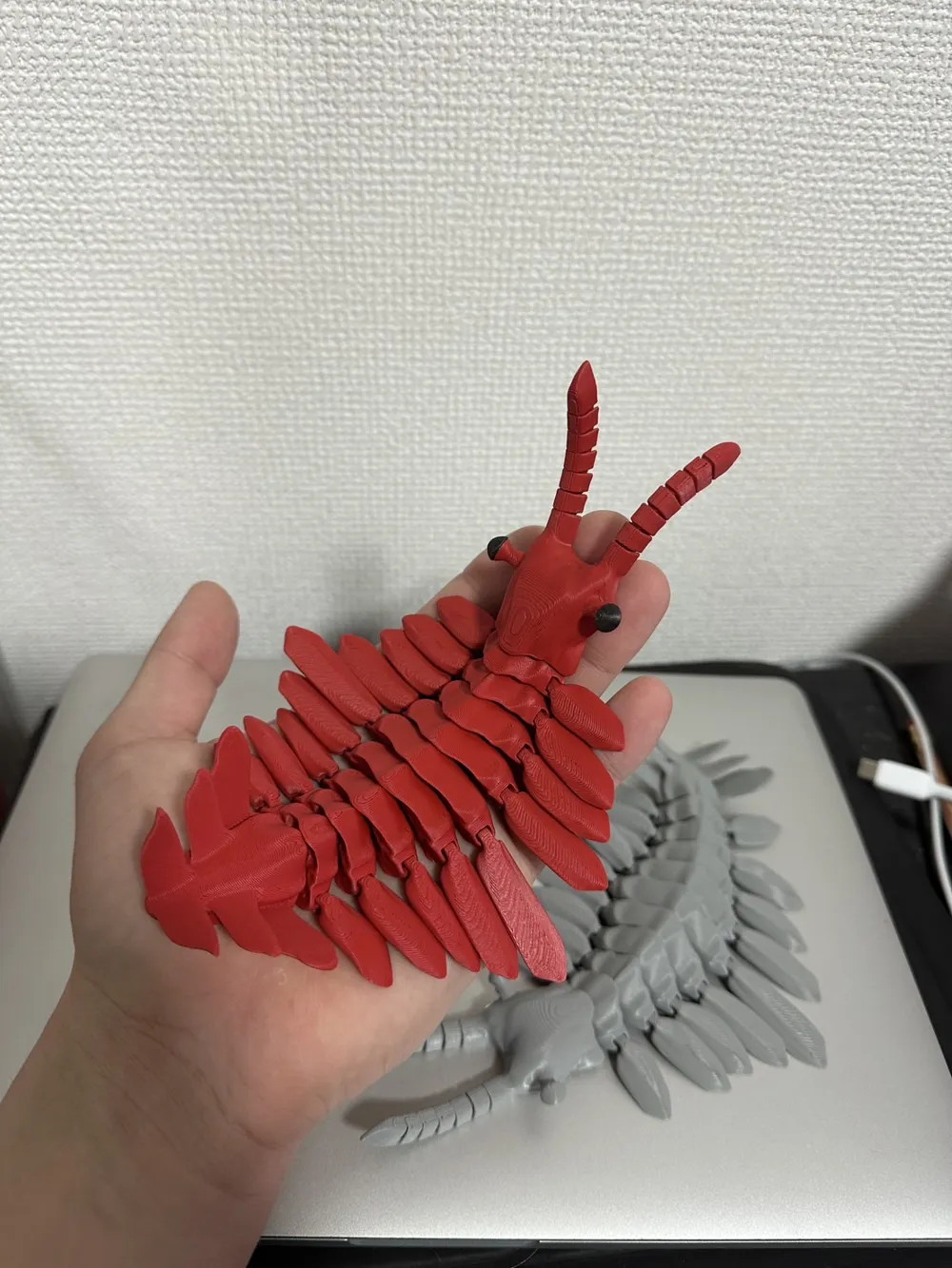 Anomalocaris Prehistoric life by Exotic_Cat MakerWorld: Download Free ...