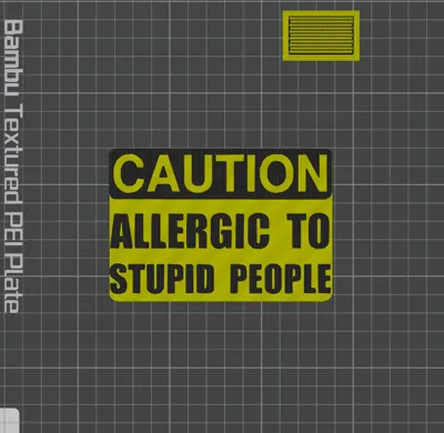 Attention, Stupid people filter by She Bee Craftin - MakerWorld