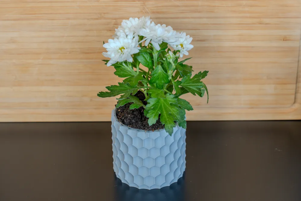 Dimple Planter by JNHusch - MakerWorld