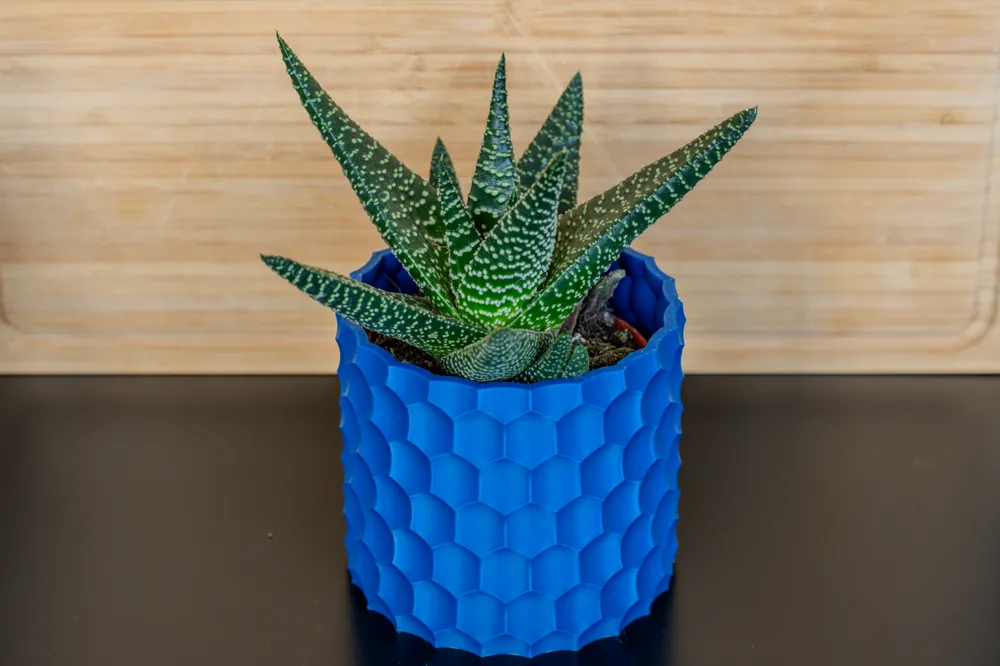 Dimple Planter by JNHusch - MakerWorld
