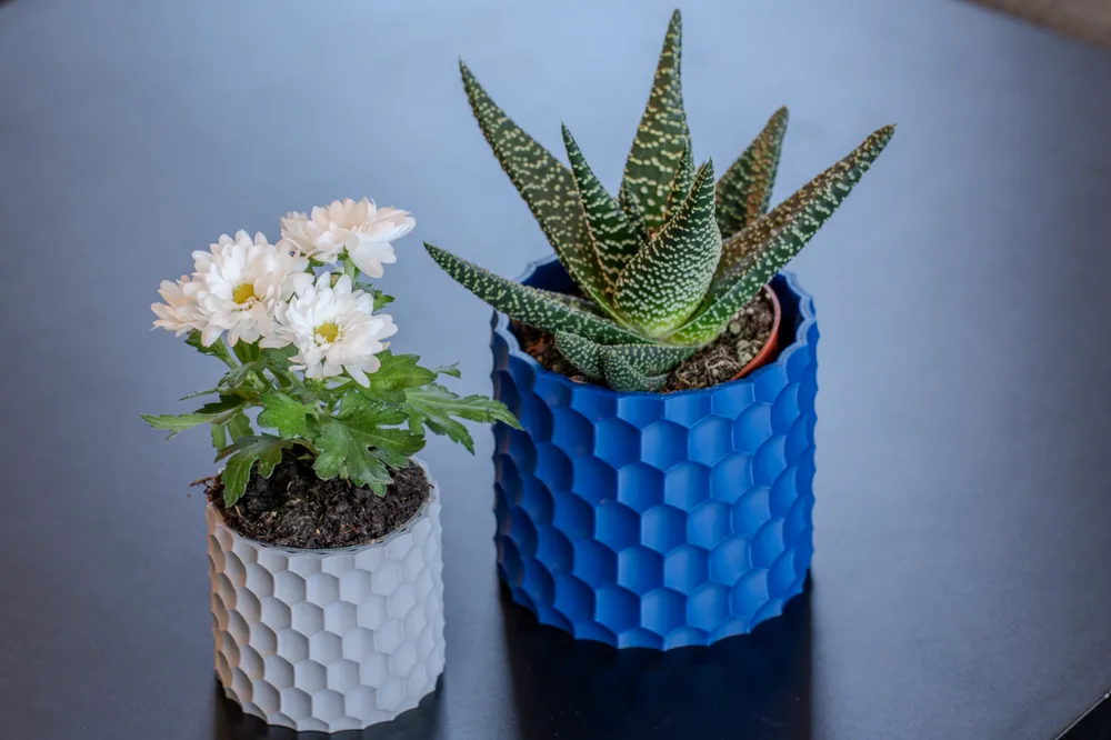 Dimple Planter by JNHusch - MakerWorld