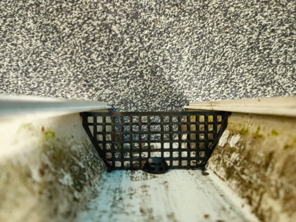 Gutter Moss Blocker by rak - MakerWorld