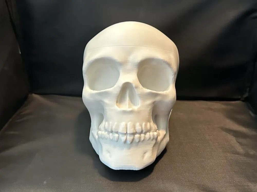 Full Size Gothic Human Skull With Magnetic Lid - Free 3D Print Model ...
