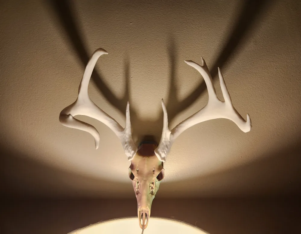 "Swamp Donkey" Deer Skull by DTM247 MakerWorld: Download Free 3D Models