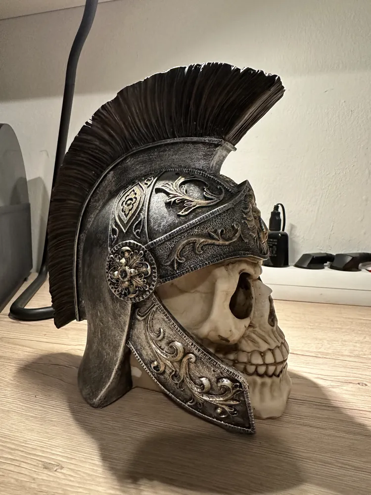 Roman Skull – 240mm - Free 3D Print Model - MakerWorld