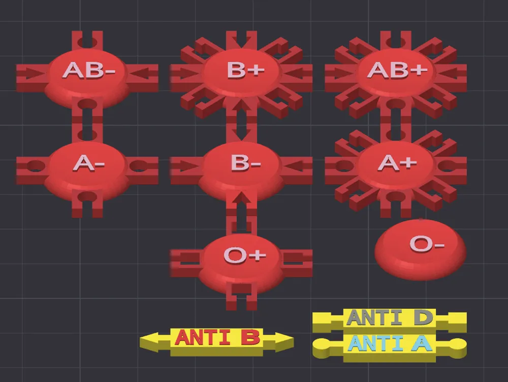 Blood Type Puzzle - Free 3D Print Model - MakerWorld