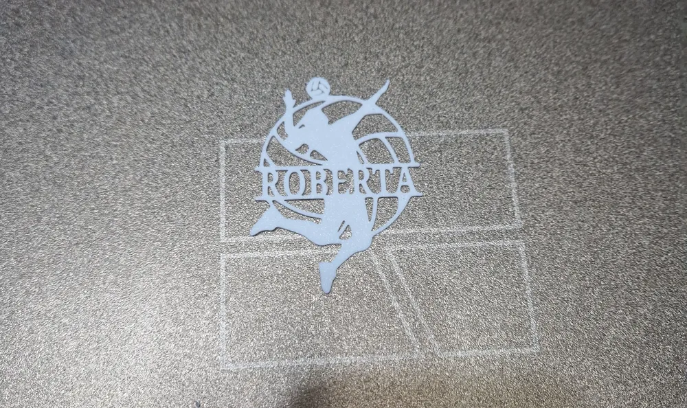 VOLLEYBALL ROBERTA - Free 3D Print Model - MakerWorld