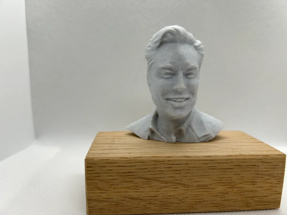 Bust Statue of Elon Musk by CycloGoat - MakerWorld