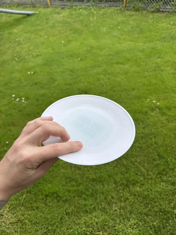 Frisbee Disc Sommer Bambu Lab by KK Print MakerWorld: Download Free 3D ...