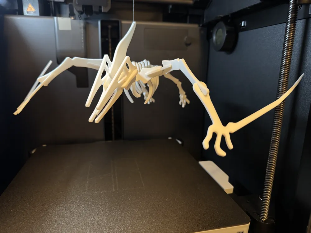 Pterodactyl Dinosaur Skeleton Puzzle - Free 3D Print Model - MakerWorld