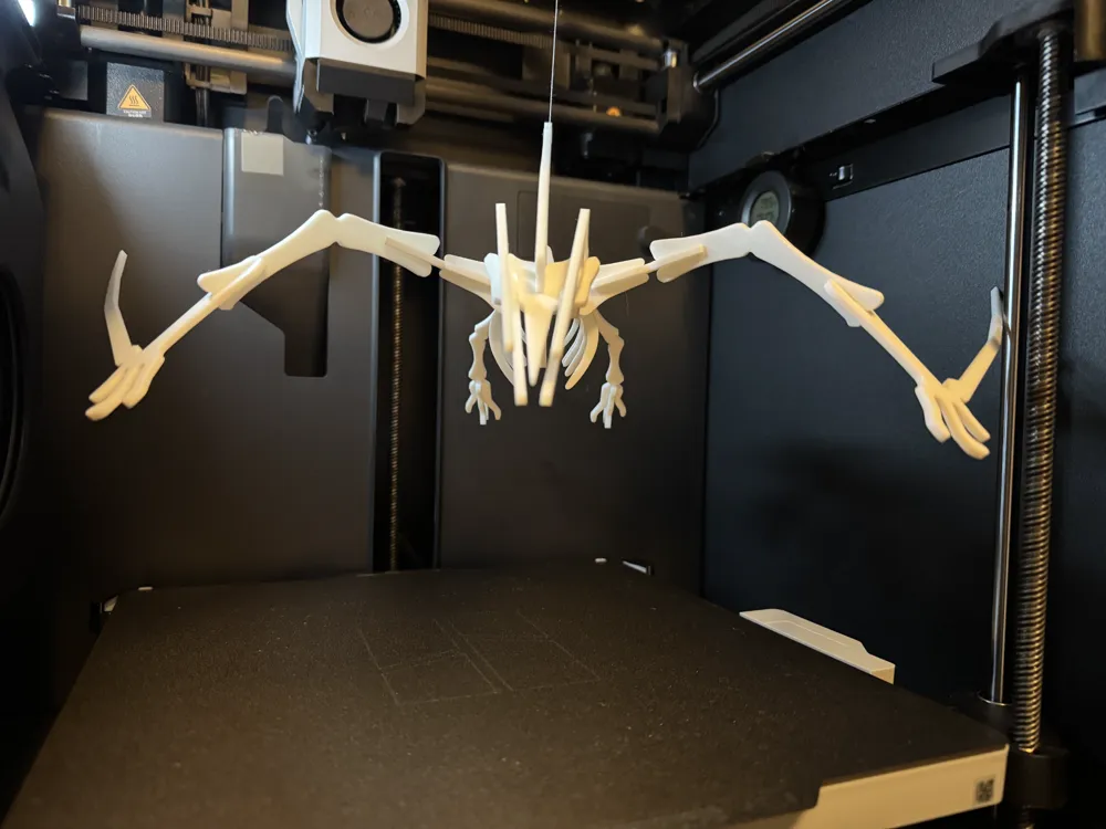 Pterodactyl Dinosaur Skeleton Puzzle - Free 3D Print Model - MakerWorld