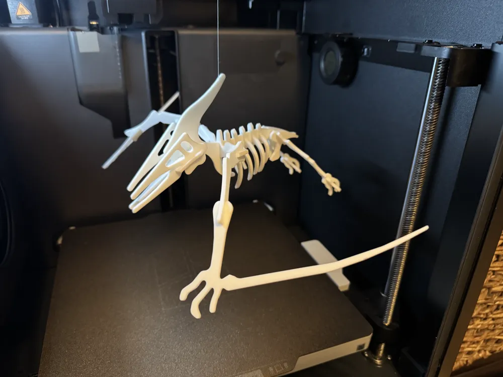Pterodactyl Dinosaur Skeleton Puzzle - Free 3D Print Model - MakerWorld