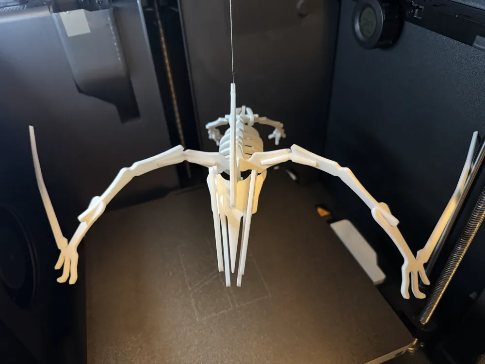Pterodactyl Dinosaur Skeleton Puzzle - Free 3D Print Model - MakerWorld