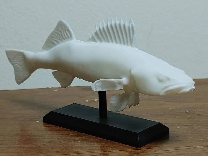 Sauger Fish Mount by Fish Prints MakerWorld: Download Free 3D Models