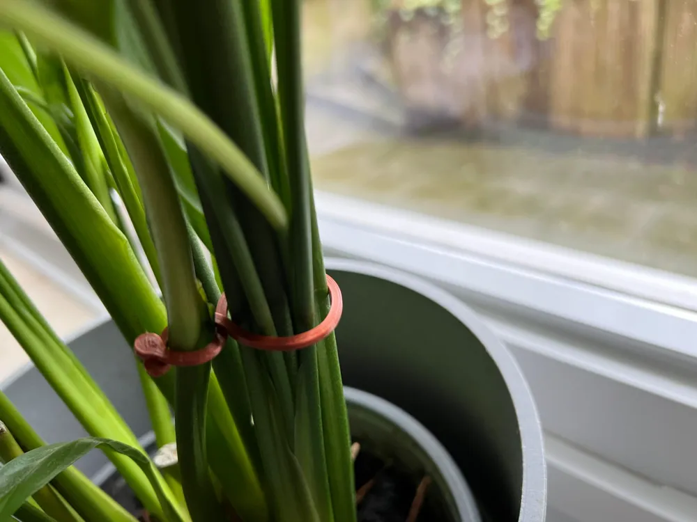 Plant Clips for Climbing Plants Garden simple fast - Free 3D Print ...